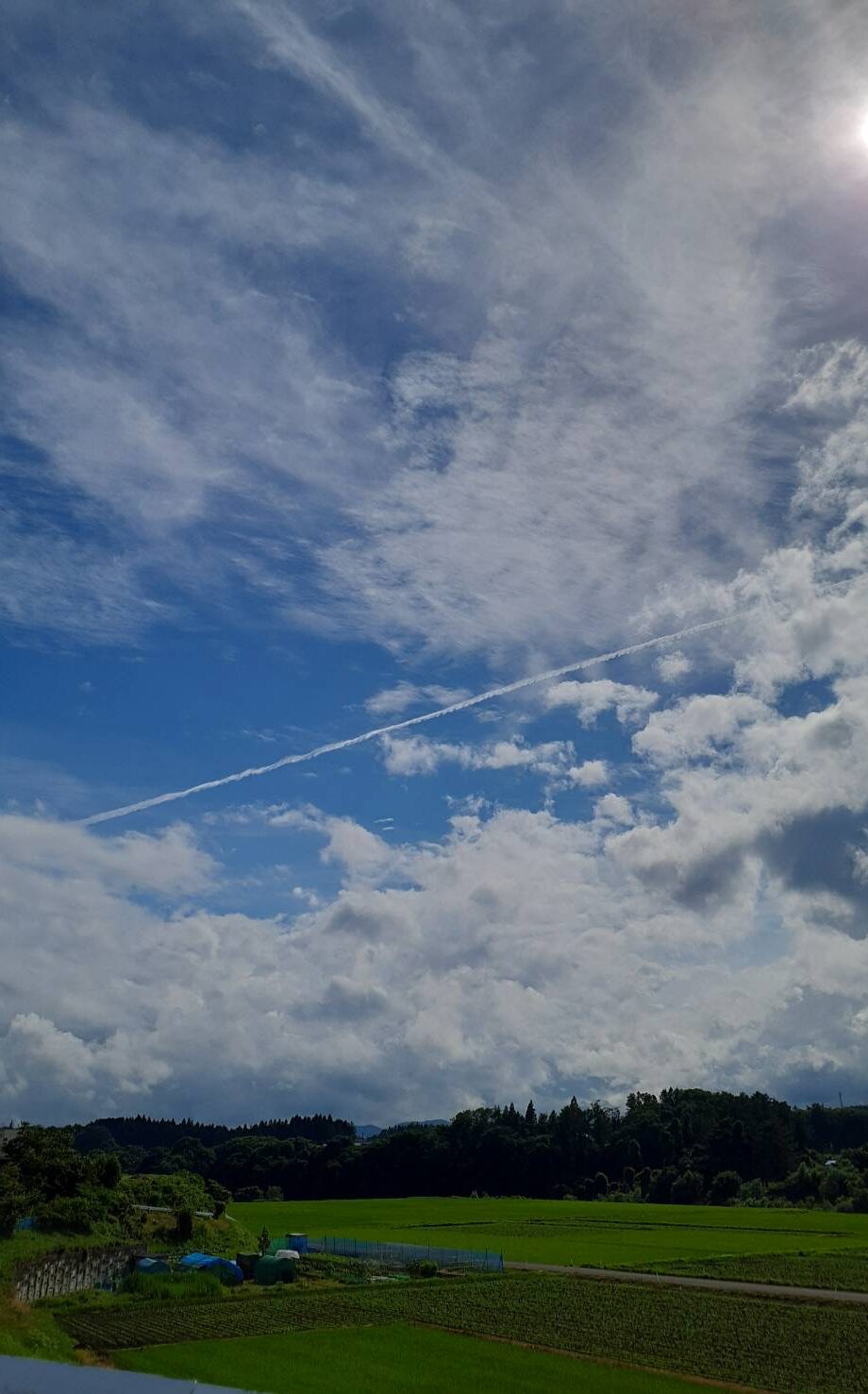 梅雨の晴れ間！│スタッフブログ│ASK HOUSING｜アスクハウジング